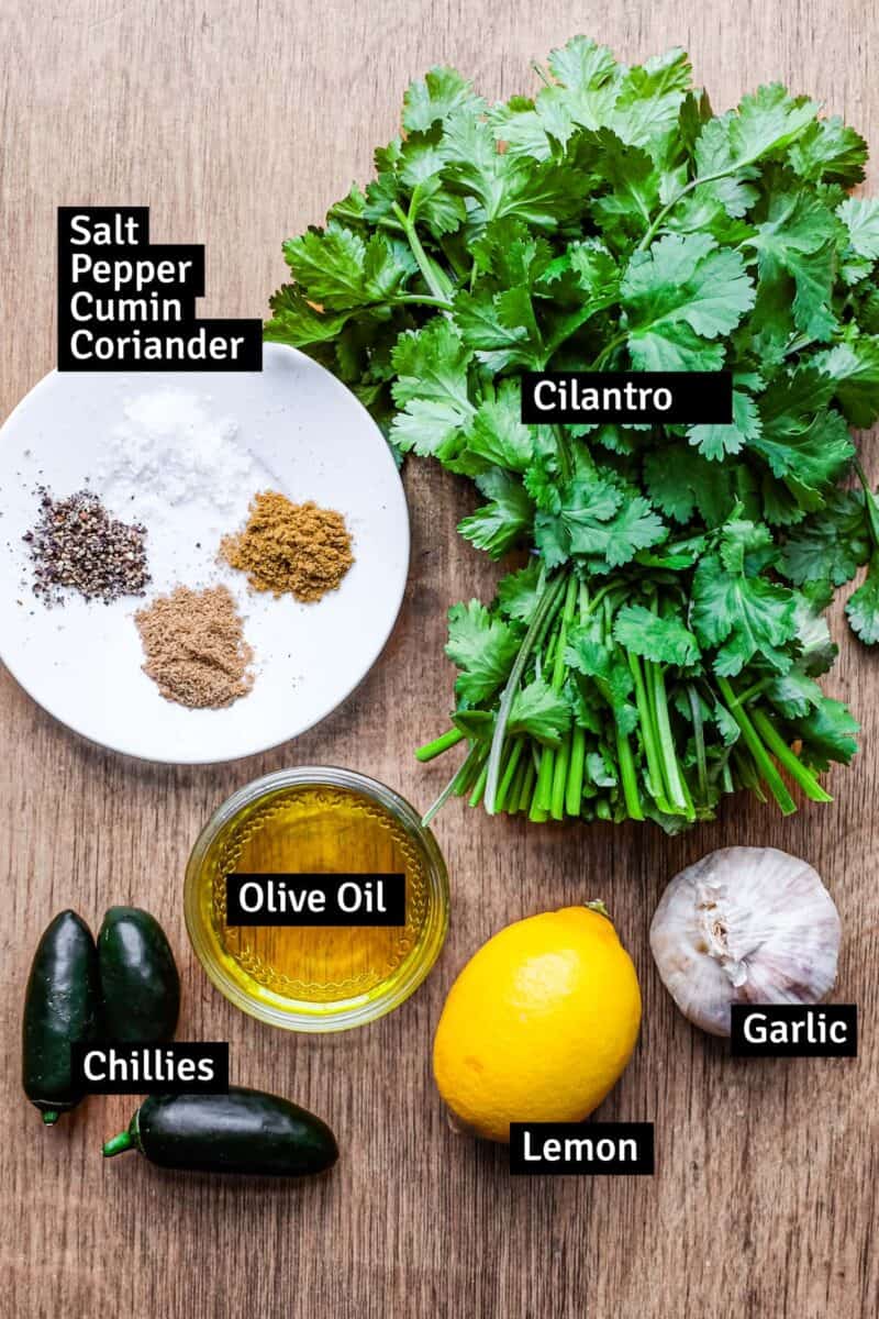 Zhoug (Spicy Cilantro Sauce) - Cook Eat World